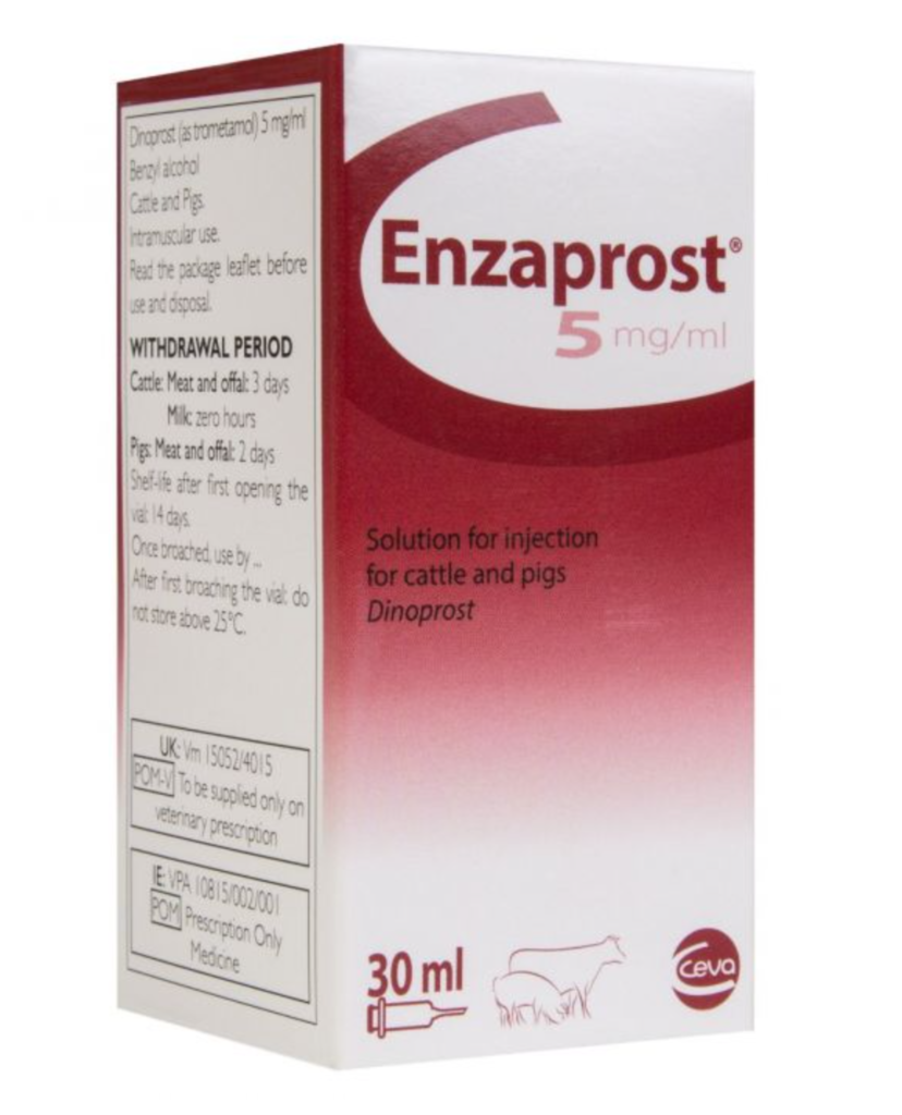 Engemycin 10% Injection - Cura