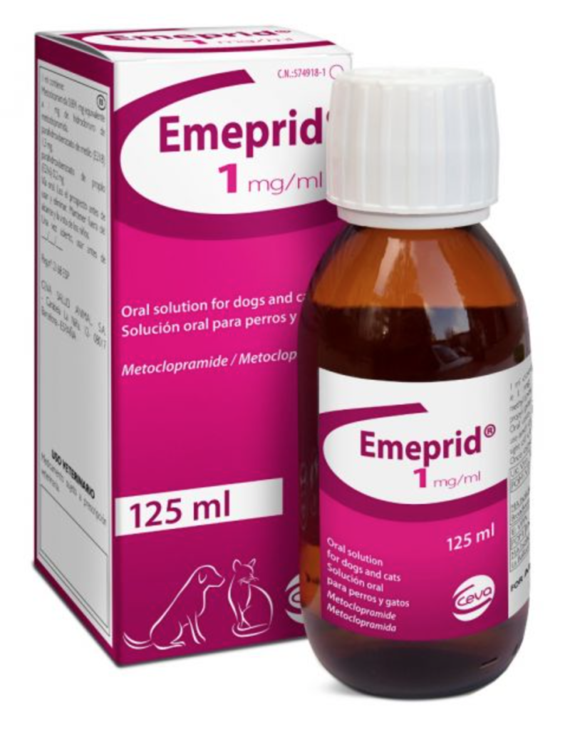 Solensia injection | Cat arthritis