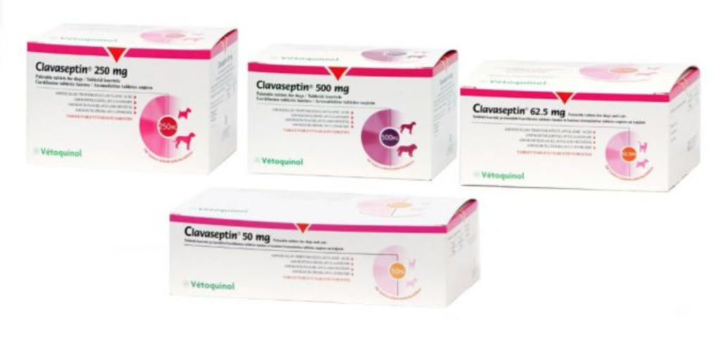 Dexafast 2mg/ml injection - Cura