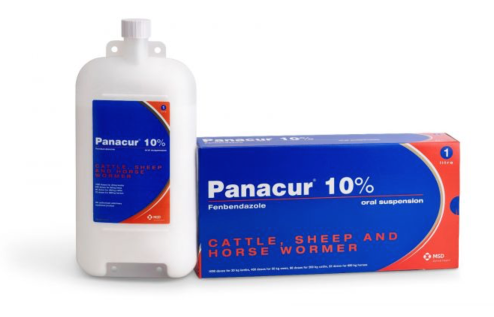 No More Nerves for Horses - Cura