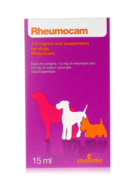 Rheumocam for Pain Relief in Dogs and Cats
