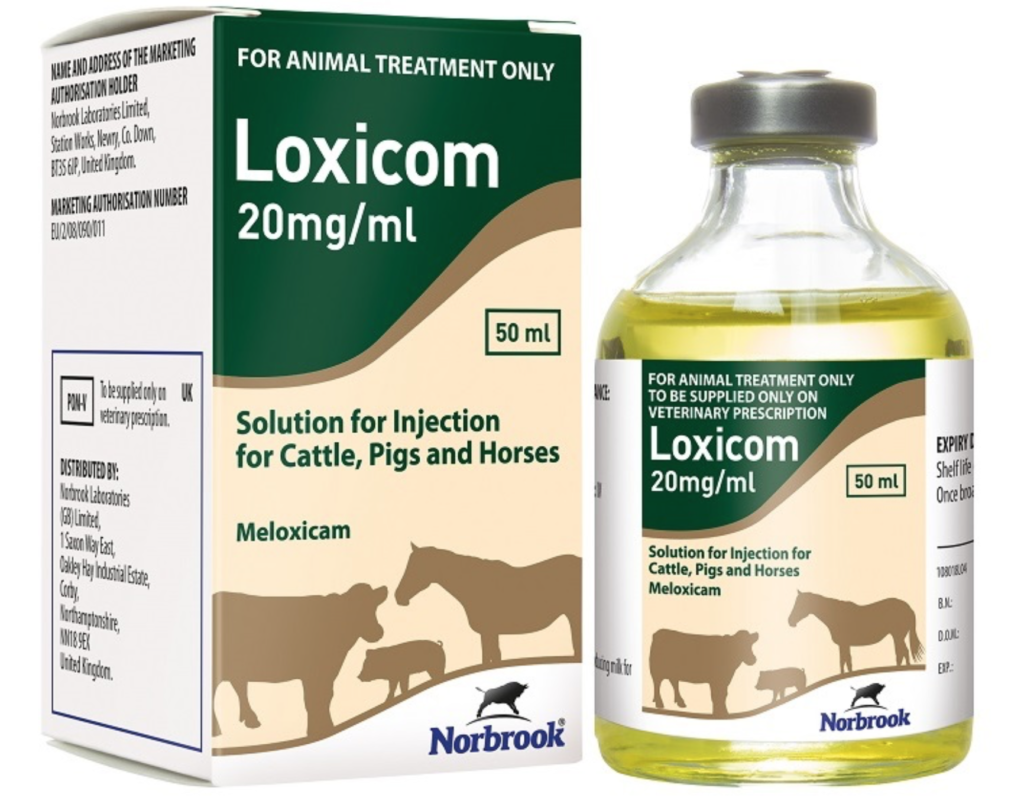 Cura- Loxicom Injectable Solution for Livestock and Horses