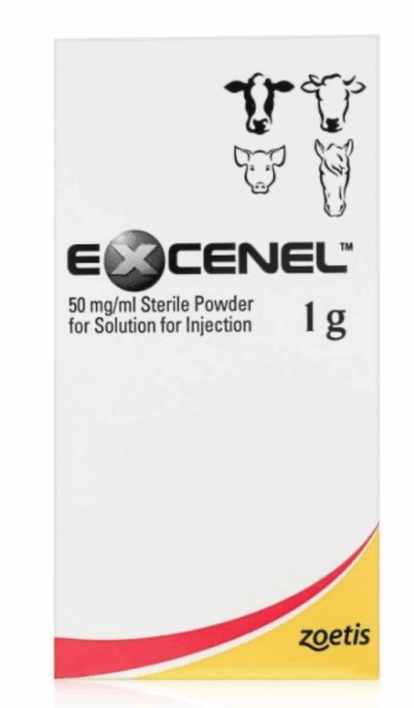 Wormer Tablet for Dogs: Effective Against Worms - Cura